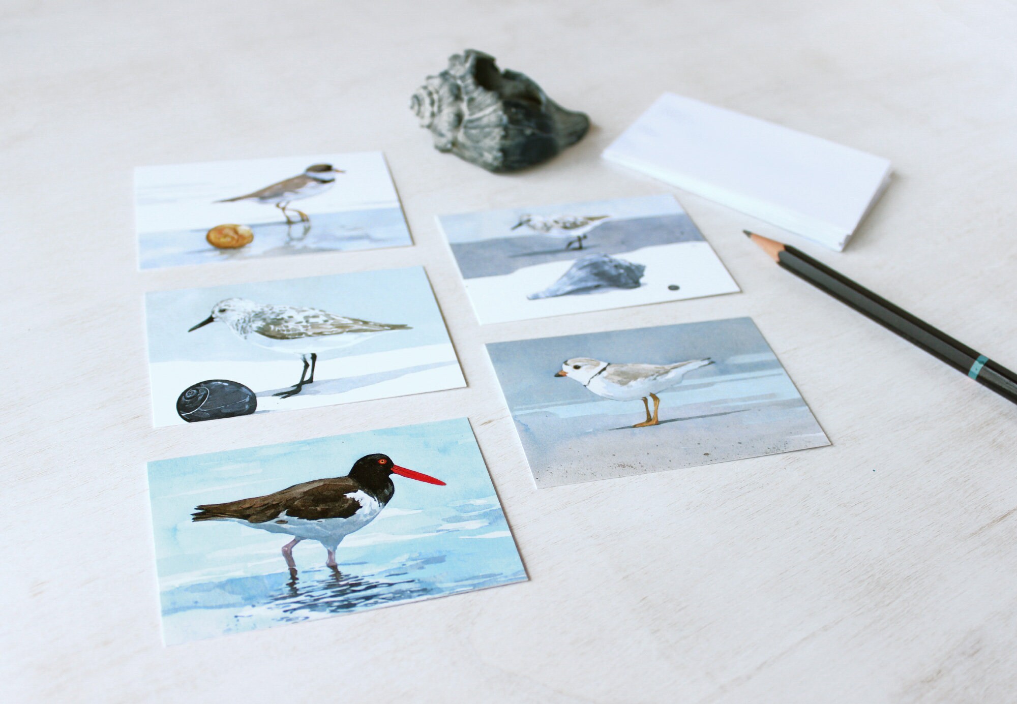 Shorebirds Mini Gift Note Cards - Etsy