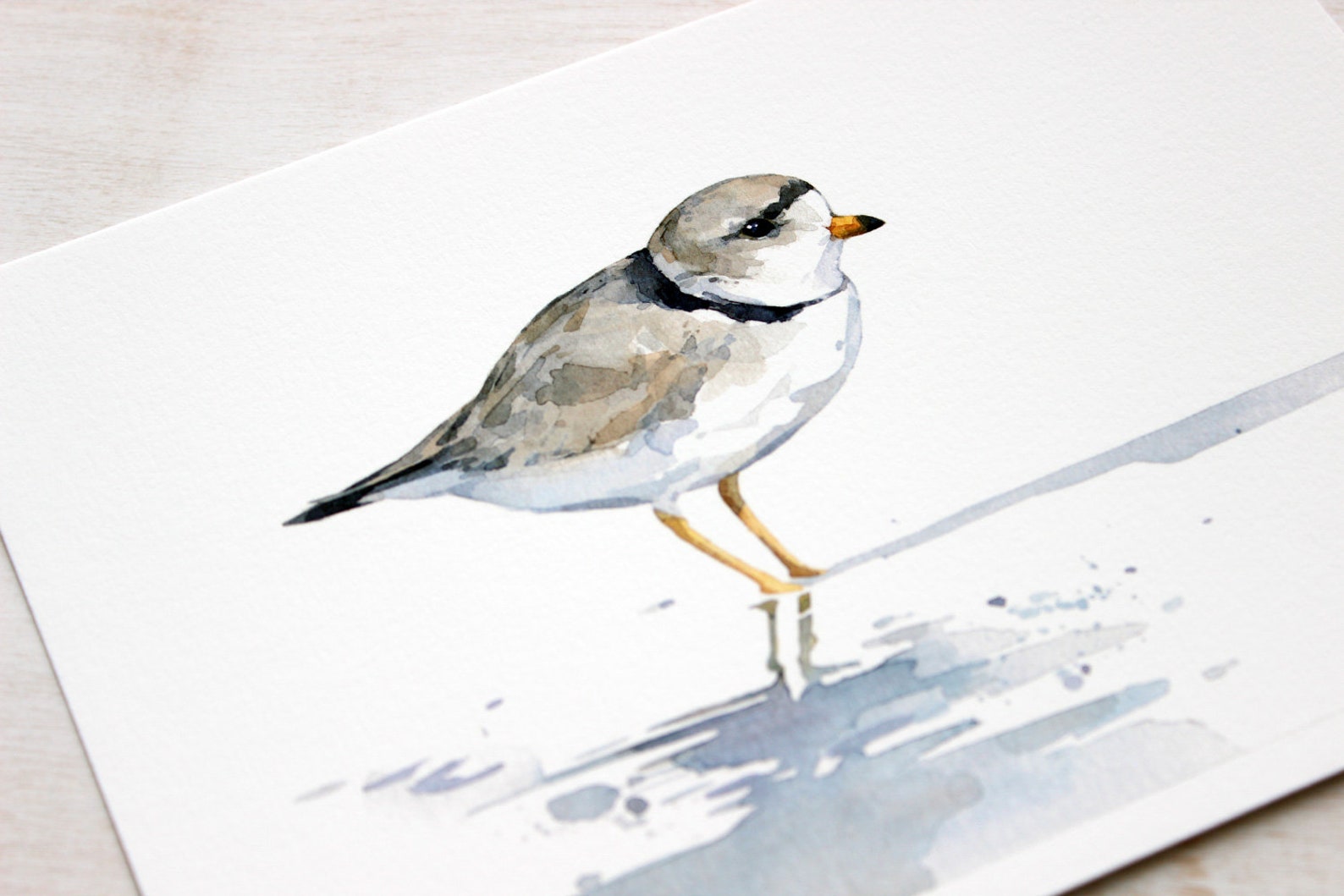 Piping Plover Watercolor Print Sandpiper Beach Painting Birdwatcher ...