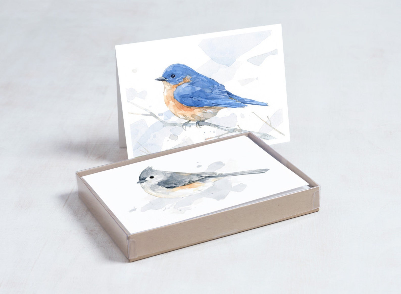 Bird Watercolor Card Set: Mixed Bird Art Stationery Gift - Etsy