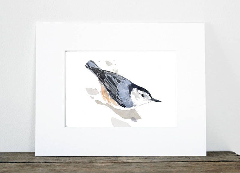 Nuthatch Watercolor Print Bird Painting Wall Art | Etsy