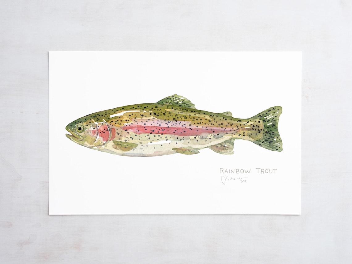 Rainbow Trout Watercolor Print Fish Painting Lakehouse Decor - Etsy