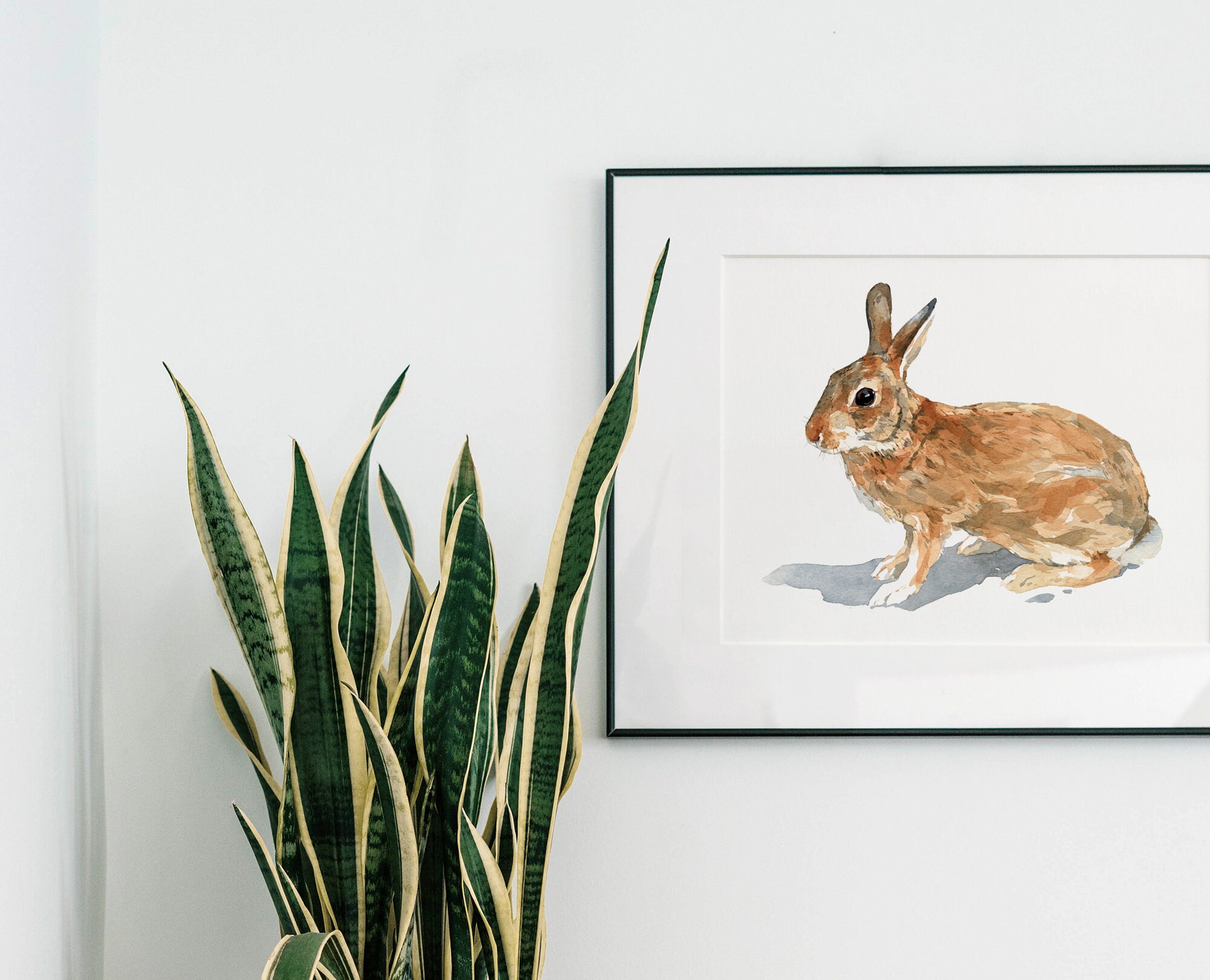 Wild Rabbit Watercolor Print Nature Wildlife Art Modern - Etsy