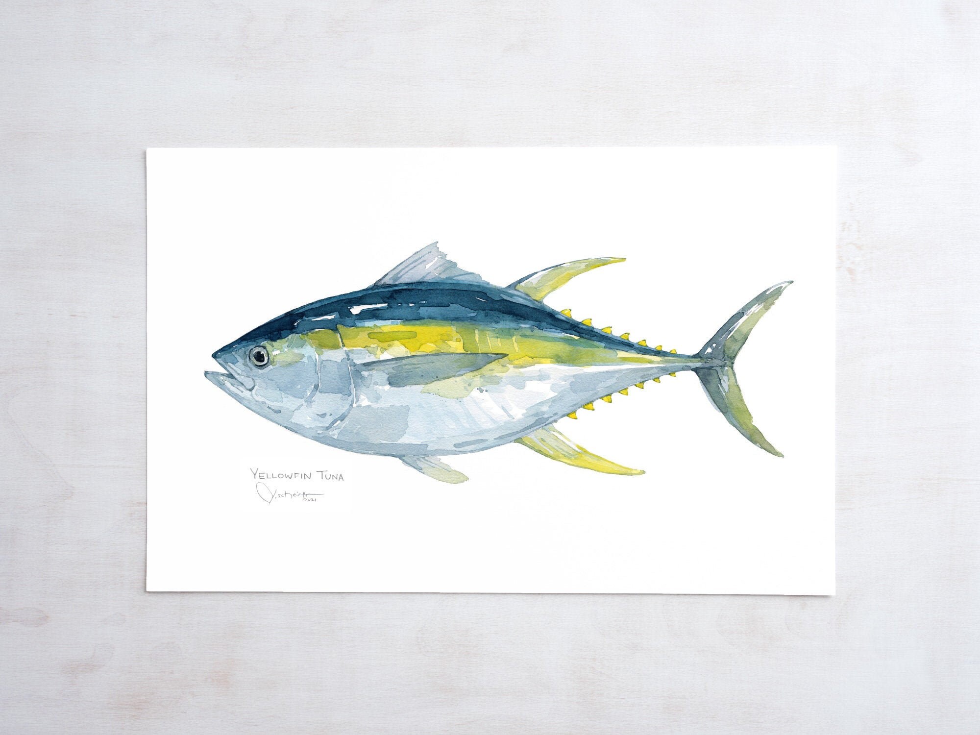 Yellowfin Tuna Painting