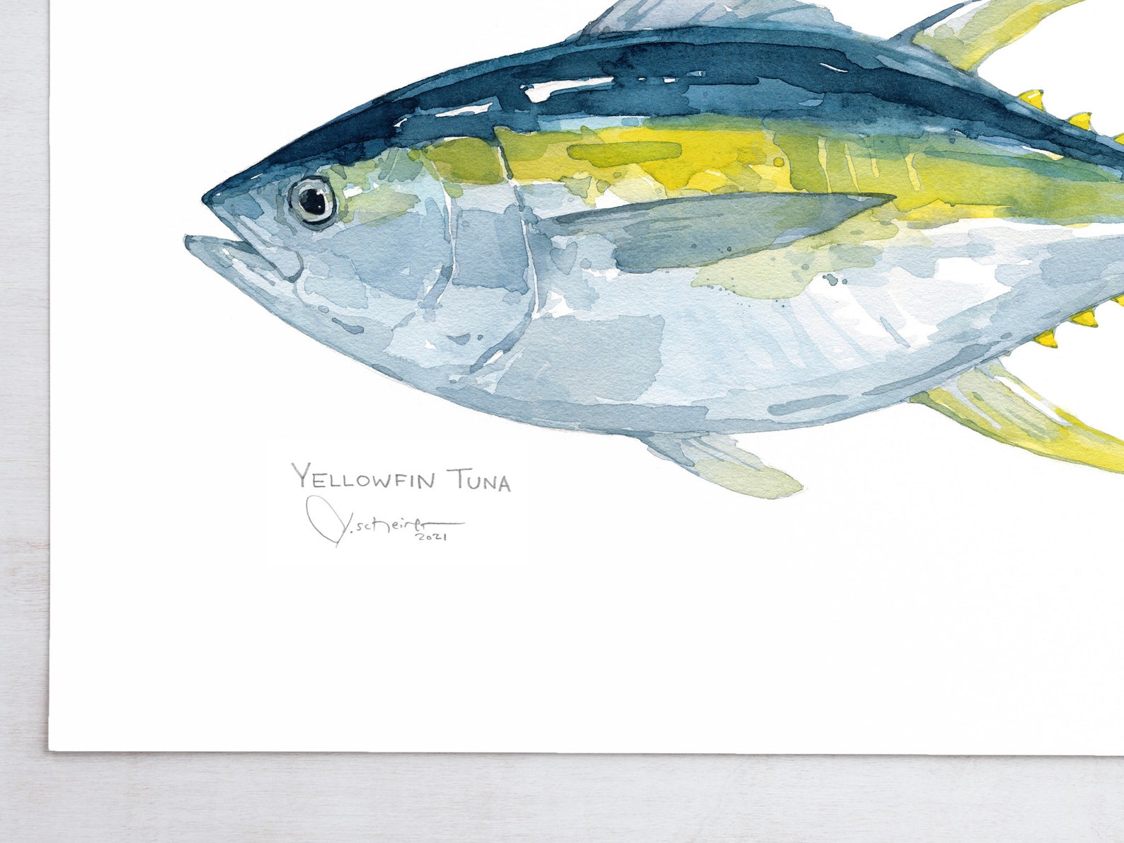 Yellowfin Tuna Watercolor Print Fish Painting Fisherman Gift - Etsy