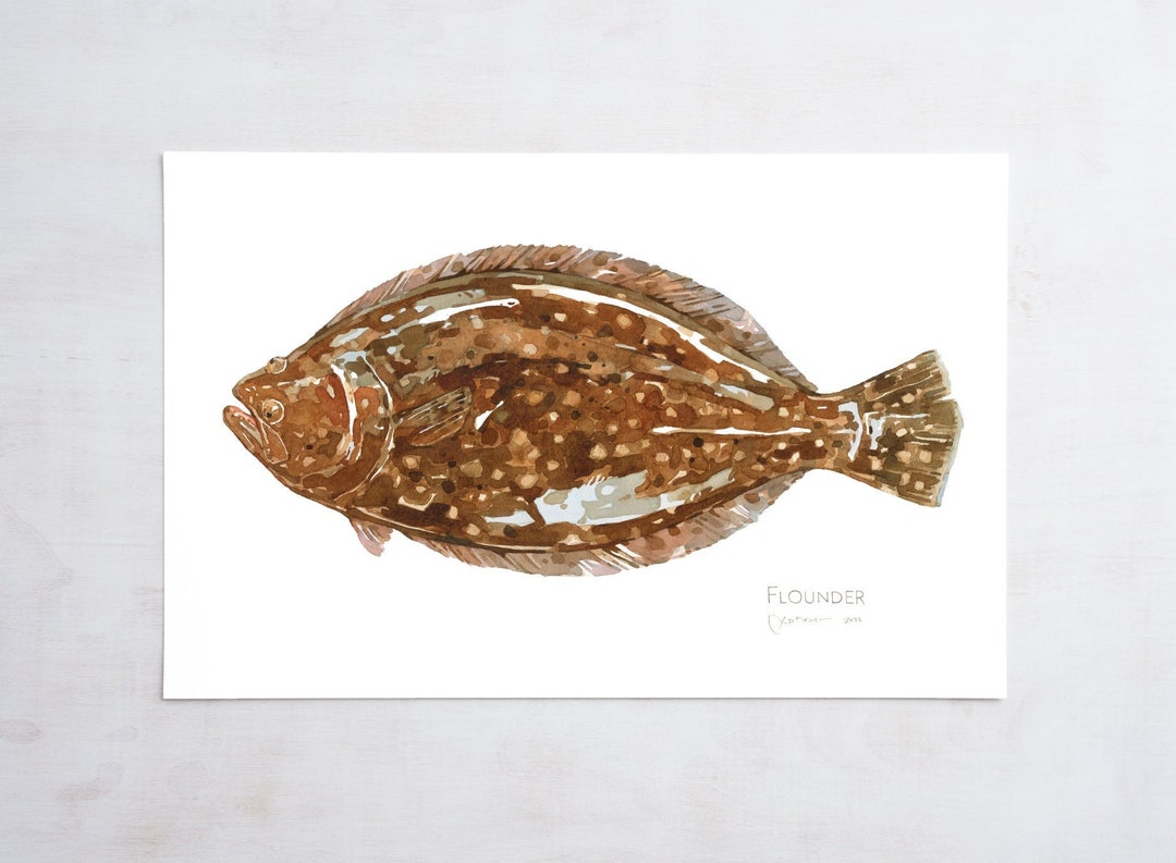Flounder Watercolor Print, Nautical Fish Art Coastal Fish Decor ...