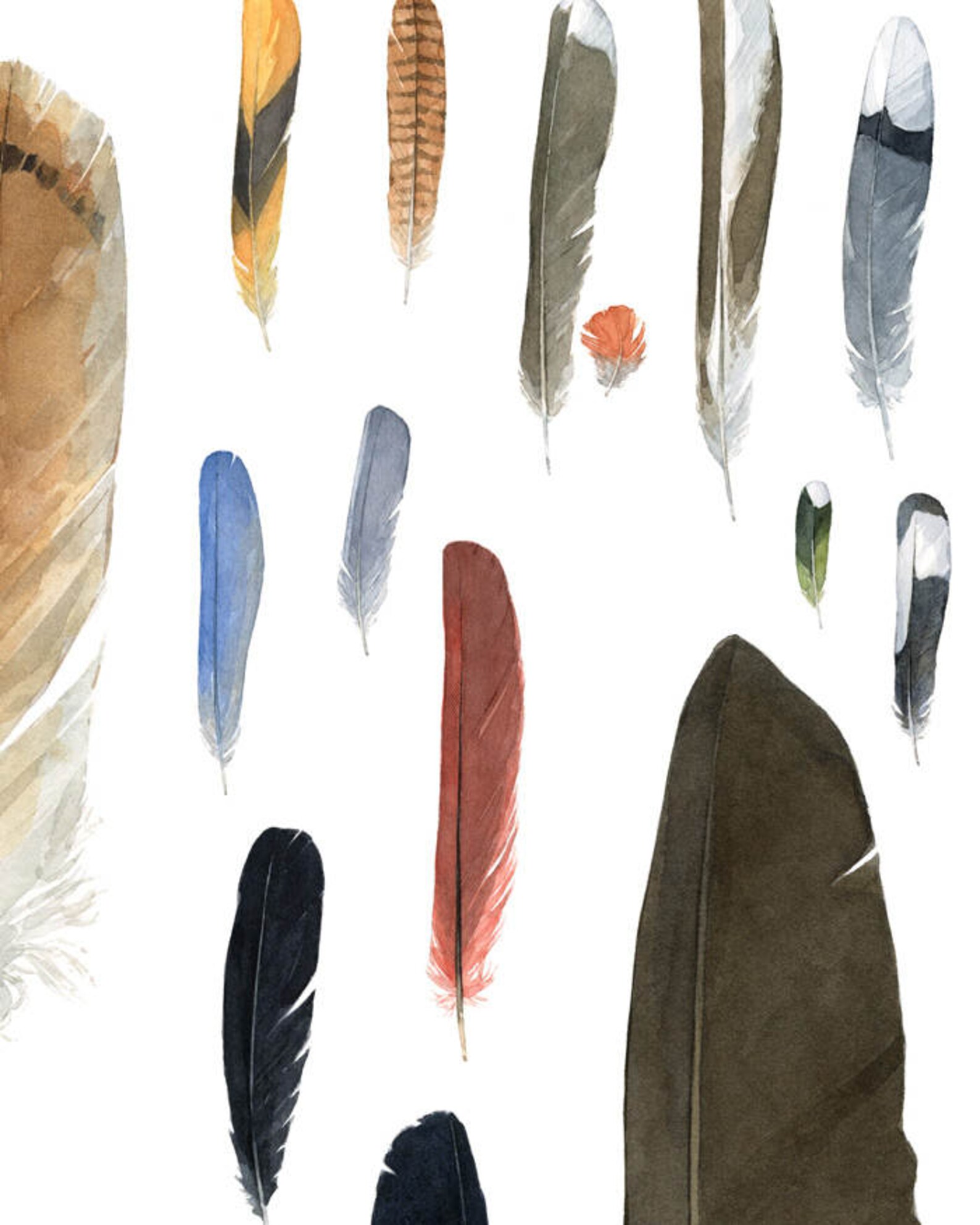 Large Feathers Watercolor Print Rustic Nature Wall Art - Etsy
