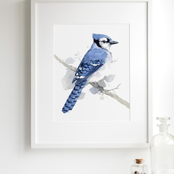 Blue Jay Art - Etsy