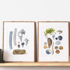 Beachcombing Shells Watercolor Print Set Seashore Beach House Wall ...