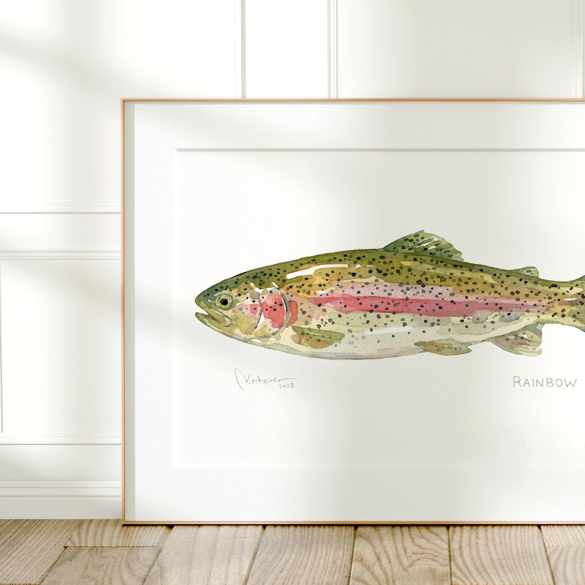 Rainbow Trout Watercolor Print Fish Painting Lakehouse Decor - Etsy