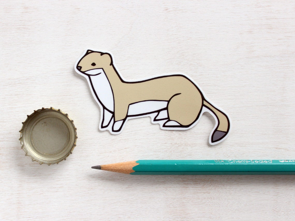 Weasel Vinyl Sticker Whimsical Animal Illustration - Etsy