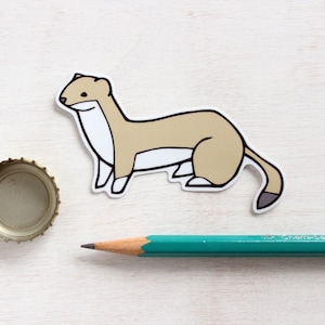 Weasel Vinyl Sticker Whimsical Animal Illustration - Etsy