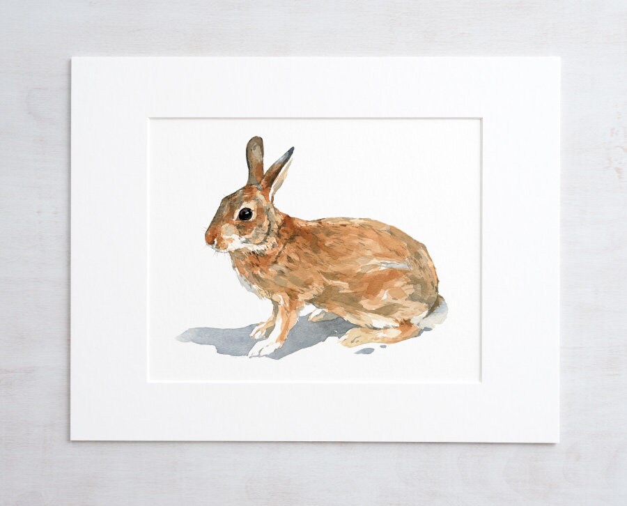 Wild Rabbit Watercolor Print Nature Wildlife Art Modern - Etsy