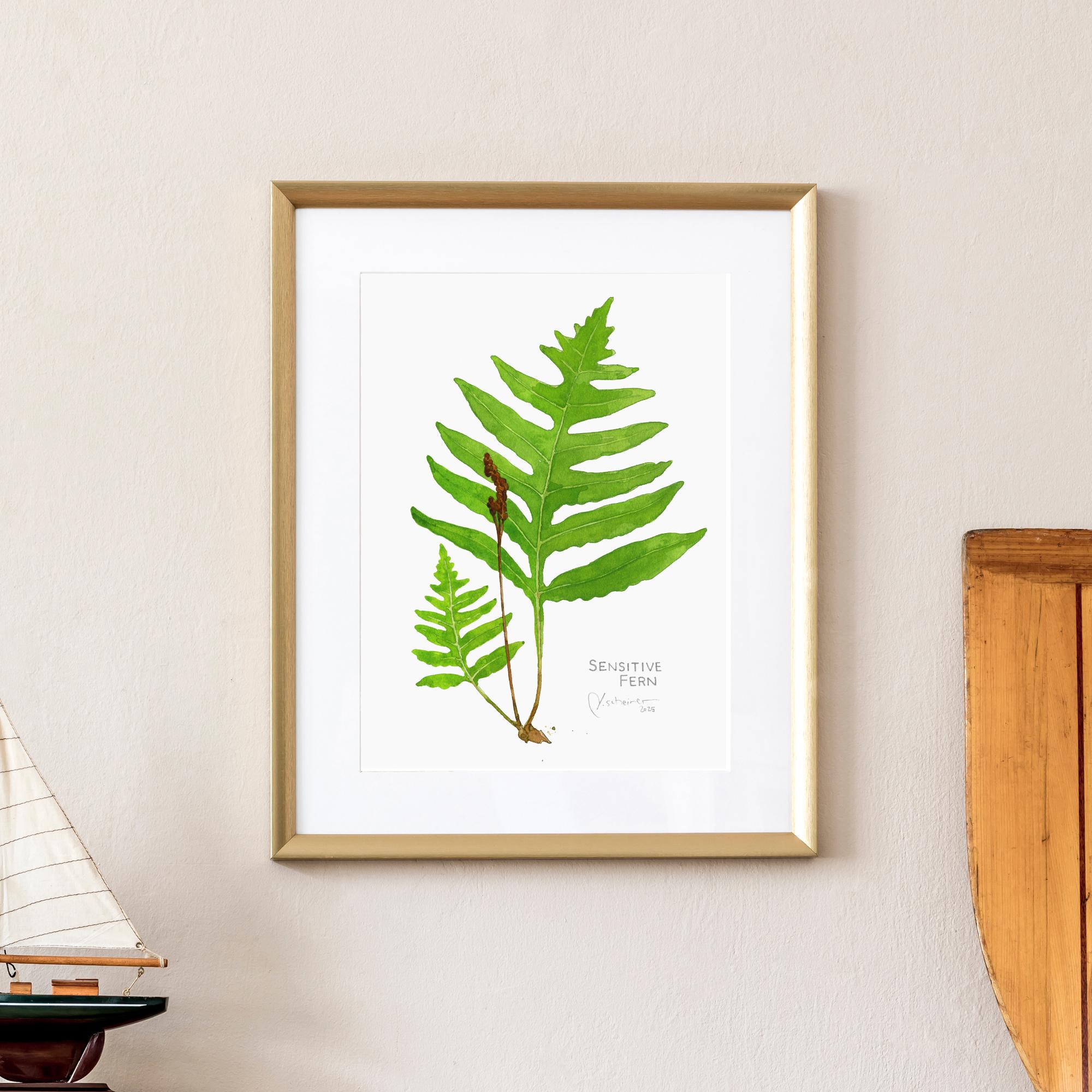 Sensitive Fern Botanical Watercolor Print Woodland Art - Etsy
