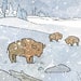 Bison Holiday Card Winter Wildlife Christmas Card - Etsy