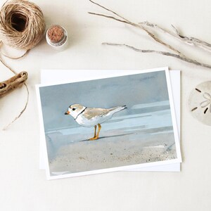 Shorebirds Card Set Watercolor Beach Birds Mix 2 - Etsy