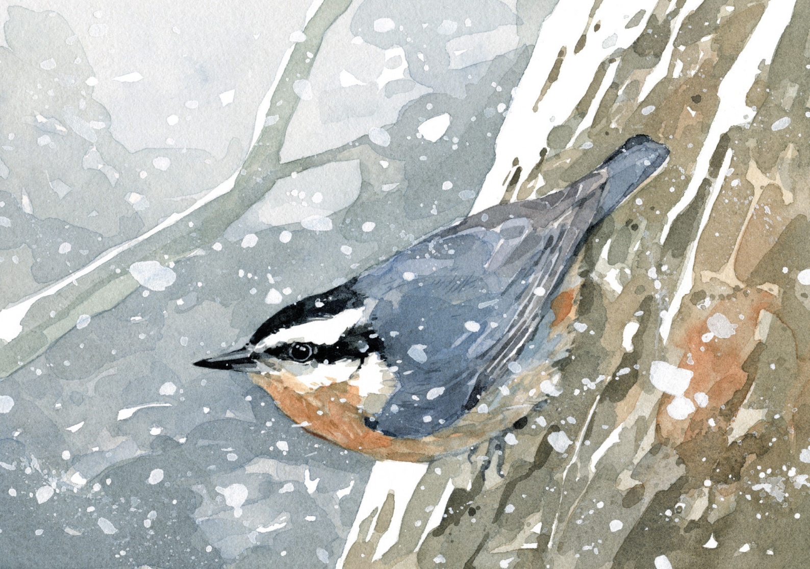 Nuthatch in Snow Watercolor Print, Bird Wall Art - Etsy