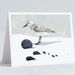 Shorebird Beach Card Set Mixed Bird Art Stationery Gift Set - Etsy