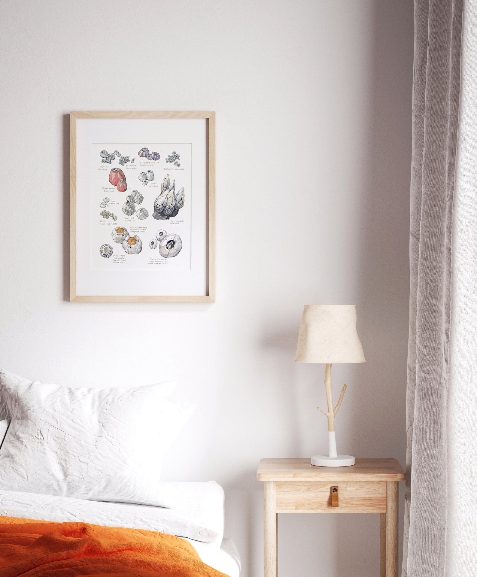 Barnacles Chart Art Print Nautical Watercolor Painting | Etsy