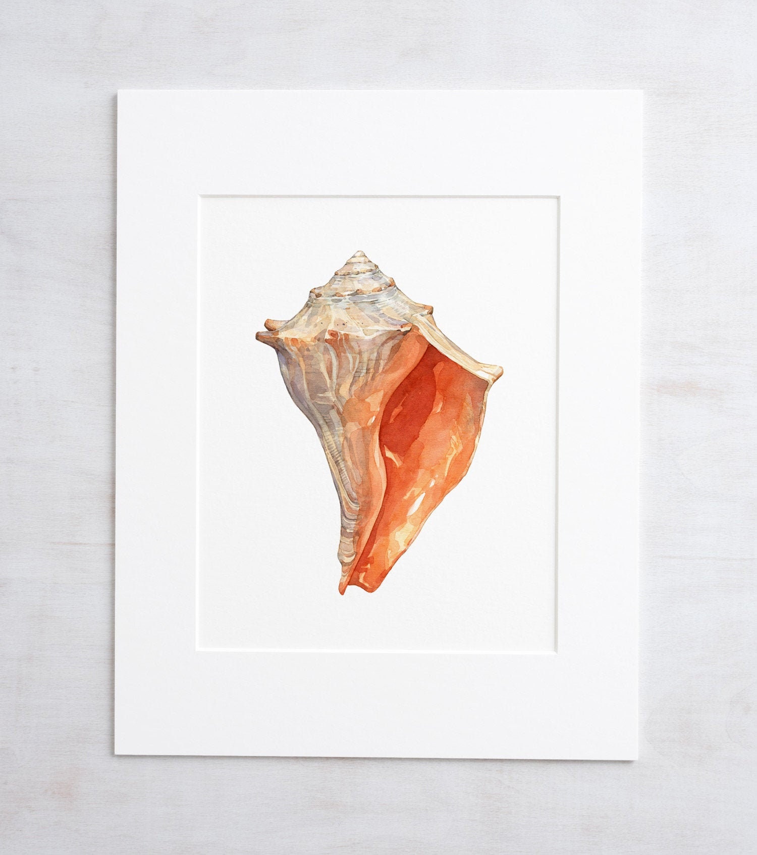 Orange Whelk Shell Watercolor Art Print 8x10 Seashell Beach | Etsy