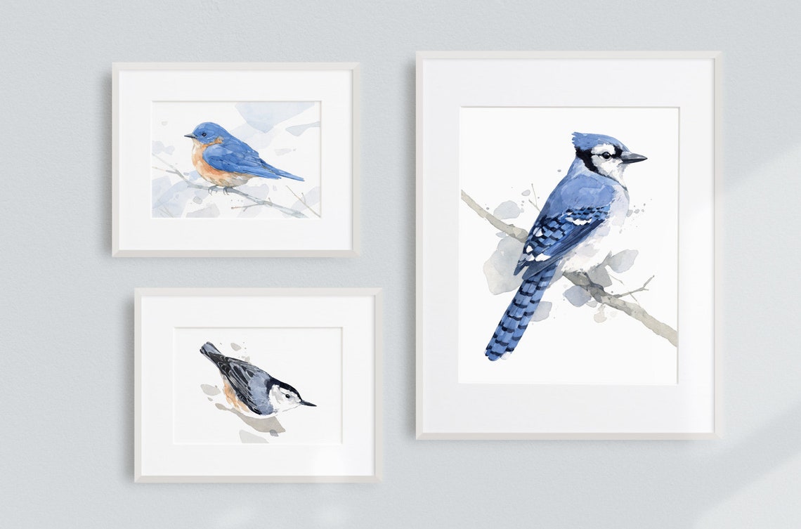 Nuthatch Watercolor Print Bird Painting Wall Art - Etsy