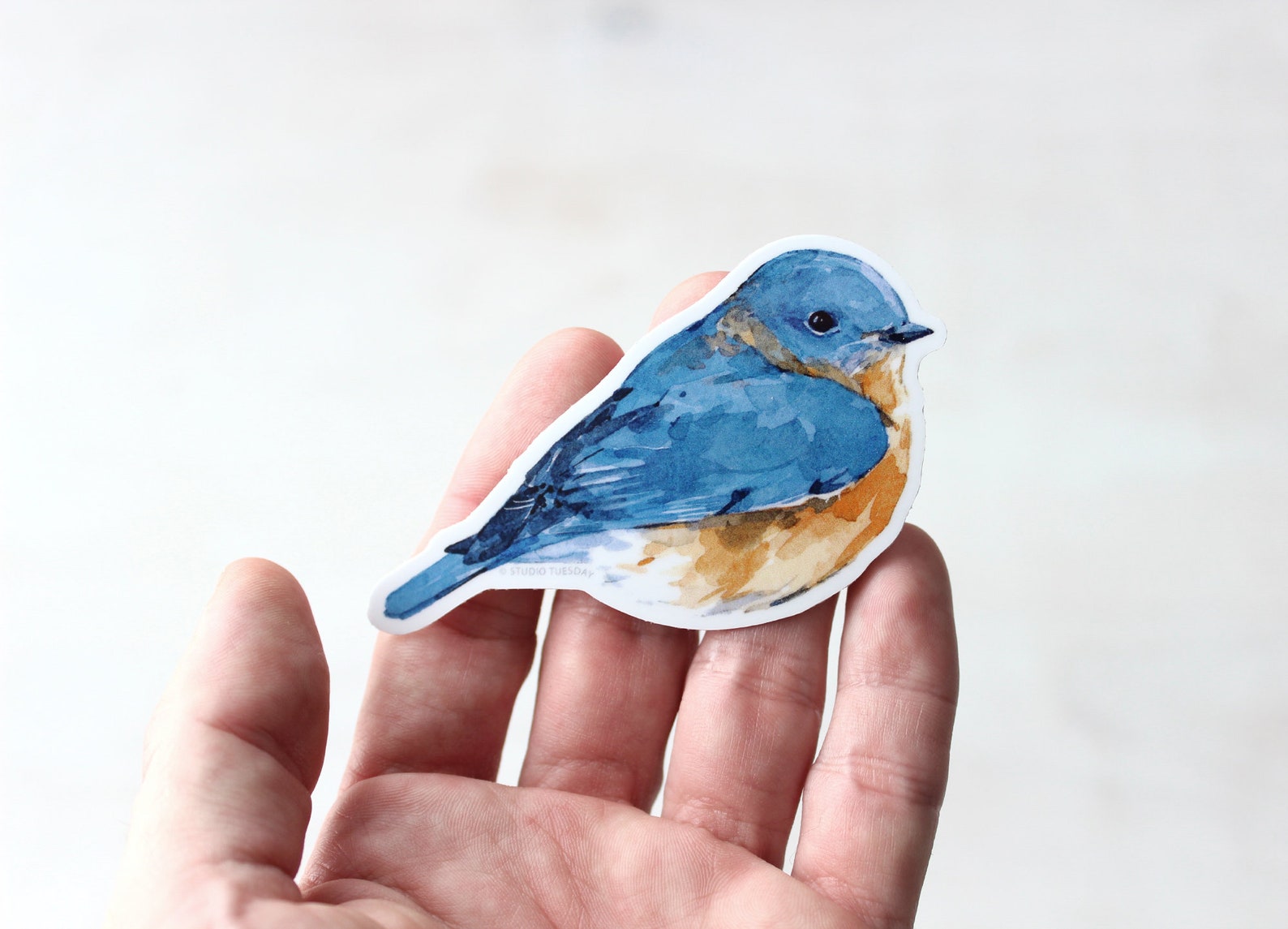 Bluebird Sticker Backyard Bird Sticker Bird Watcher Waterproof Vinyl ...