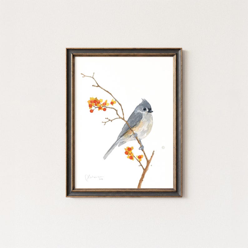 Tufted Titmouse on Bittersweet Watercolor Print Bird Painting Wall Art ...