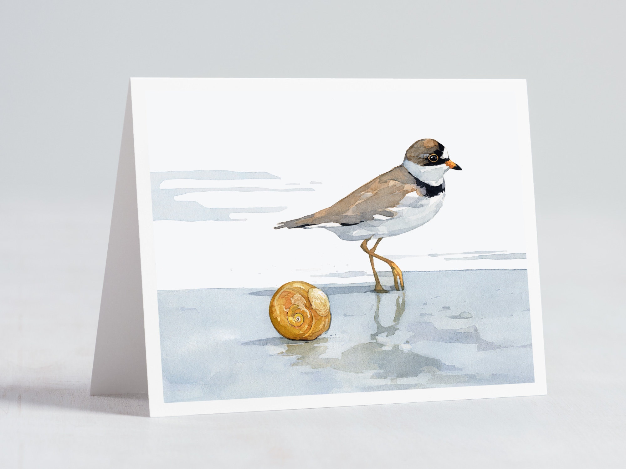 Shorebird Beach Card Set Mixed Bird Art Stationery Gift Set - Etsy