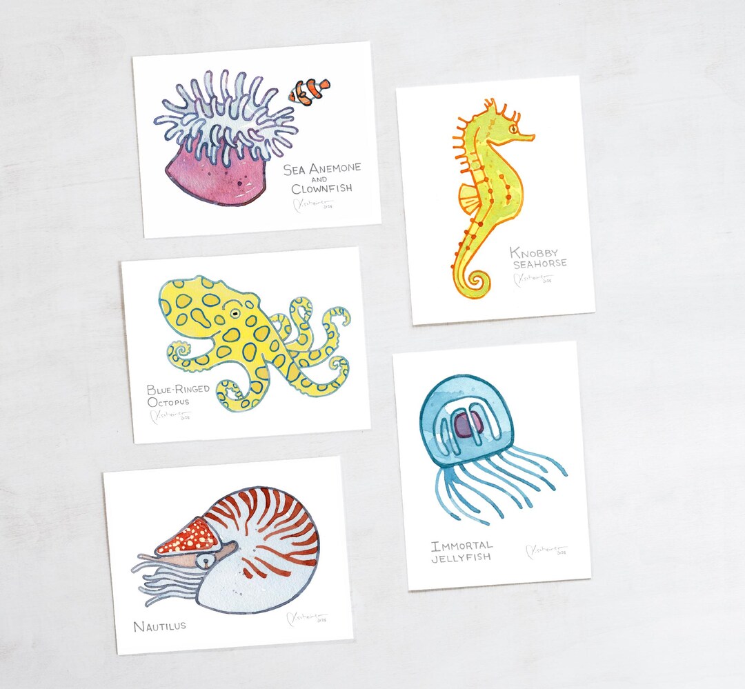 Sea Creatures Card Set Ocean Animal Cards - Etsy