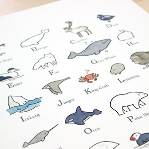Illustrated Alphabet Arctic North Canada Alaska Nursery Art Print ABC ...