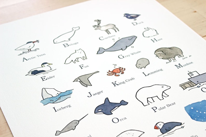 Illustrated Alphabet Arctic North Canada Alaska Nursery Art Print ABC ...