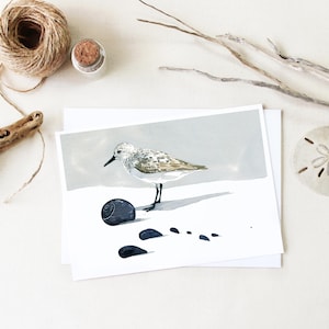 Shorebird Beach Card Set Mixed Bird Art Stationery Gift Set - Etsy