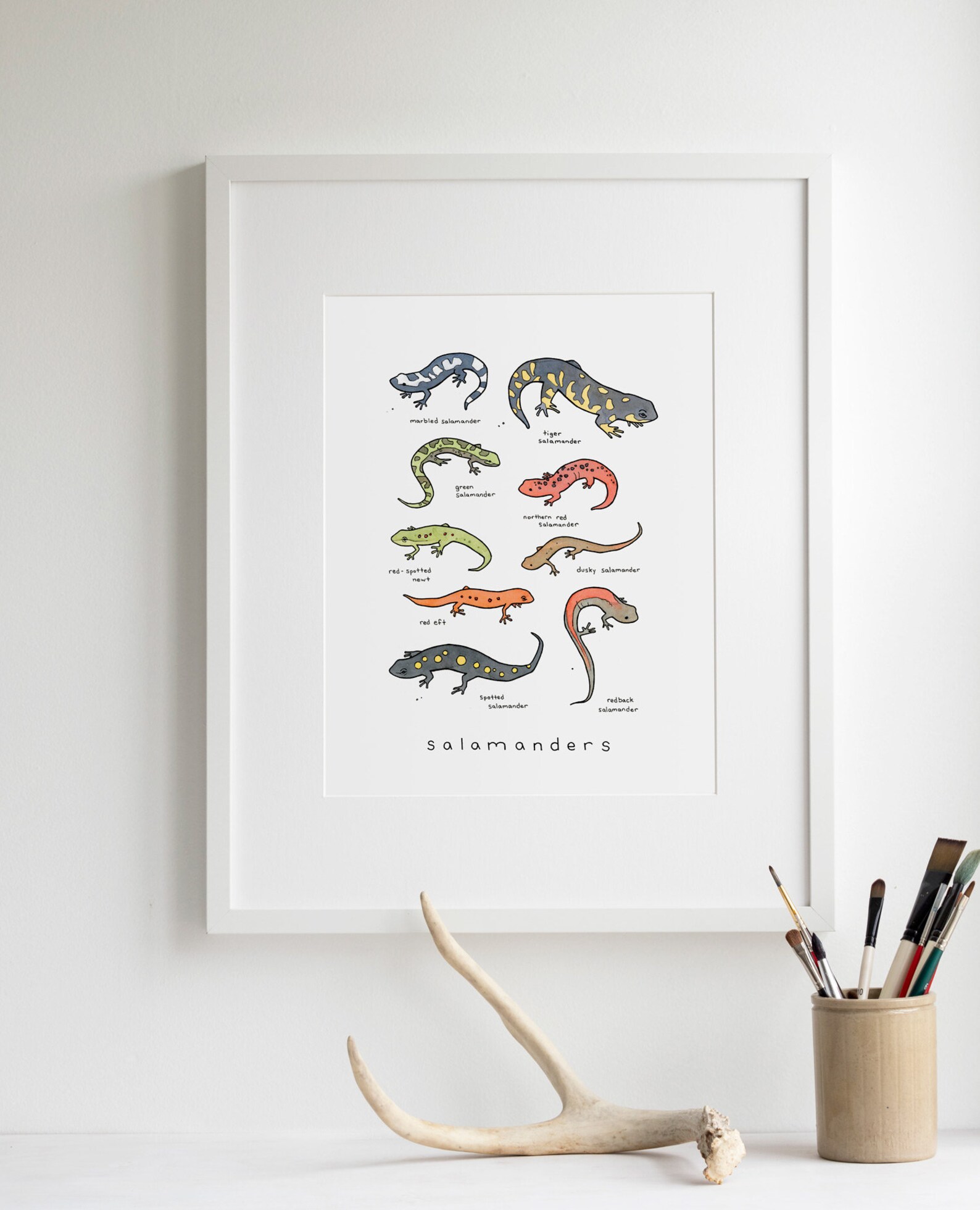 Salamanders Chart Print Animal Wall Art Kids Room Wall Decor - Etsy