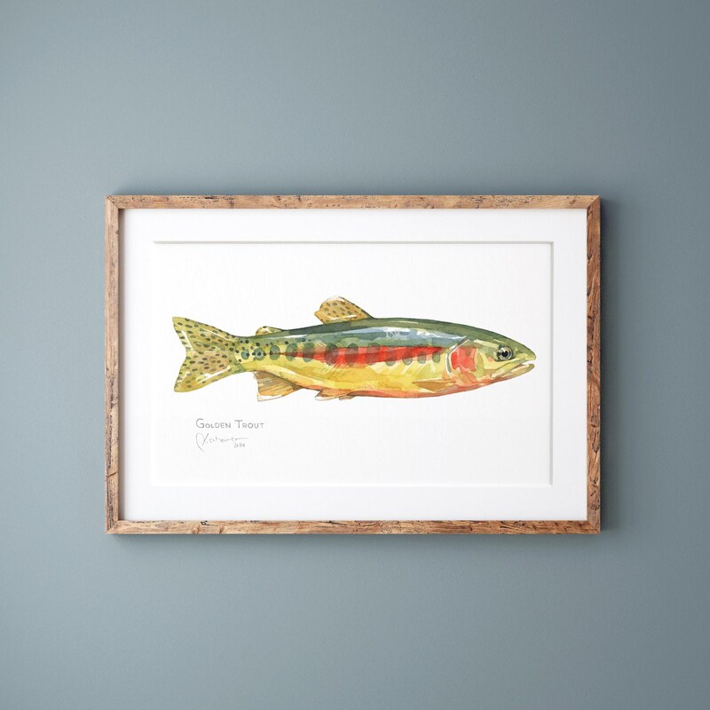 Trout Print - Etsy