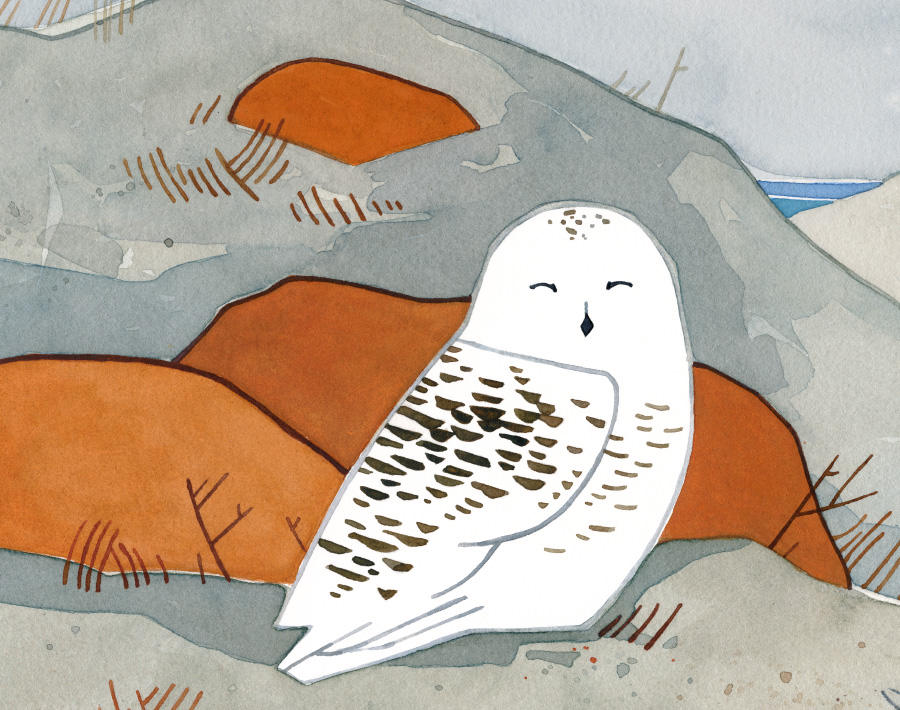 Snowy Owl Beach Watercolor Print Winter Seashore Art Print Coastal ...