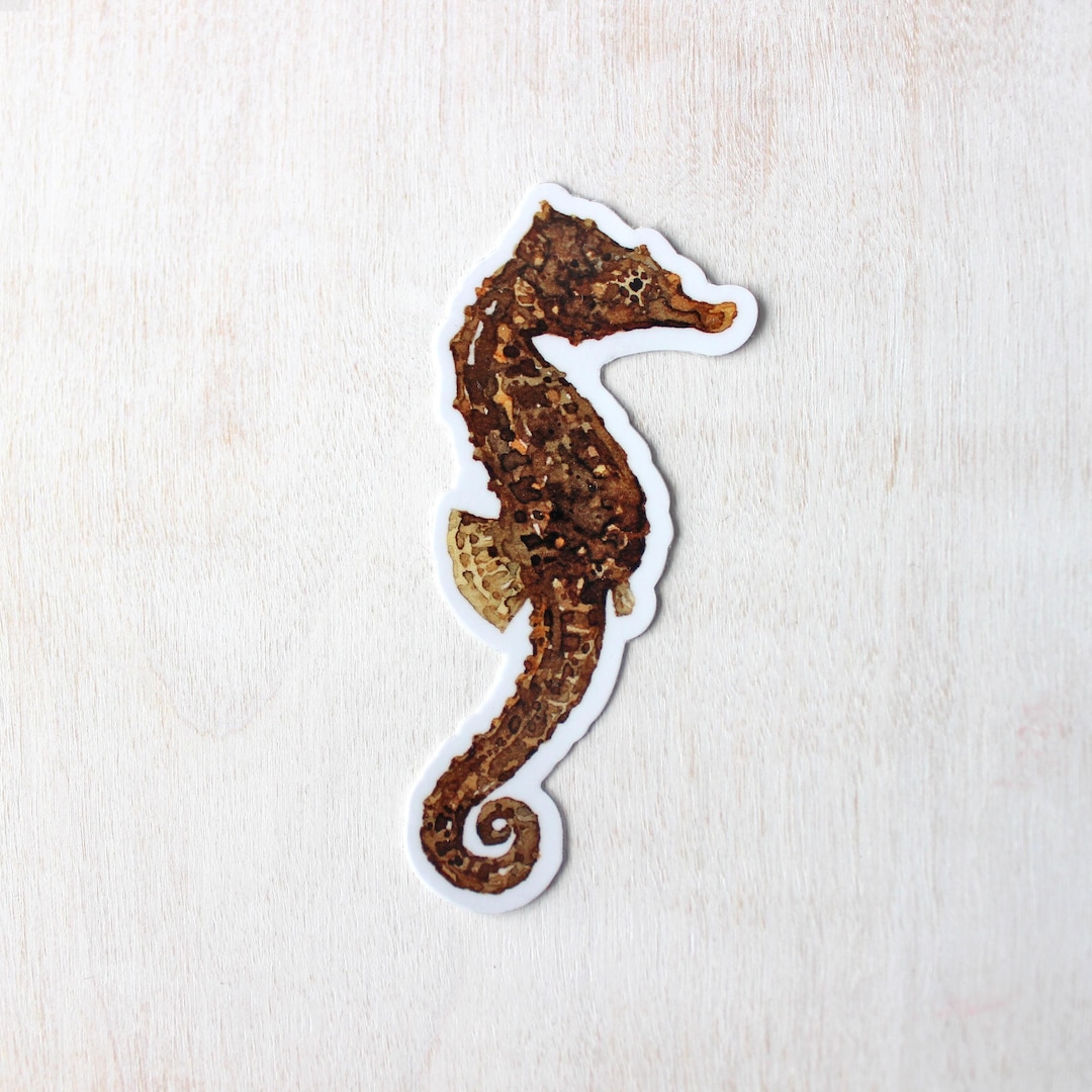 Seahorse Sticker Ocean Animal Laptop Sticker Waterproof Vinyl Art ...