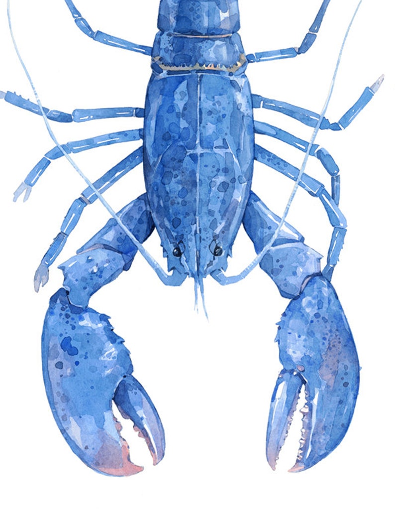Blue Lobster Watercolor Print Nautical New England Wall Art - Etsy