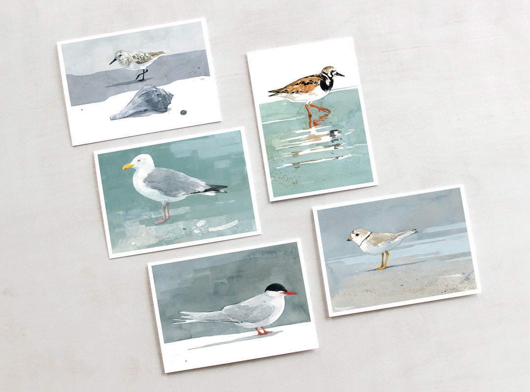 Shorebirds Card Set Watercolor Beach Birds Mix 2 - Etsy