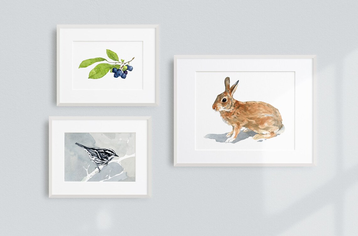 Wild Rabbit Watercolor Print Nature Wildlife Art Modern - Etsy