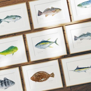 Mahi-mahi Fish Watercolor Print Dolphinfish Painting - Etsy