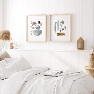 Beachcombing Shells Watercolor Print Set Seashore Beach House Wall ...