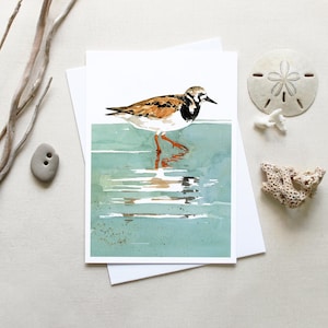 Shorebirds Card Set Watercolor Beach Birds Mix 2 - Etsy