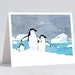 Penguins Christmas Card Set Chinstrap Penguin Animal Illustration ...