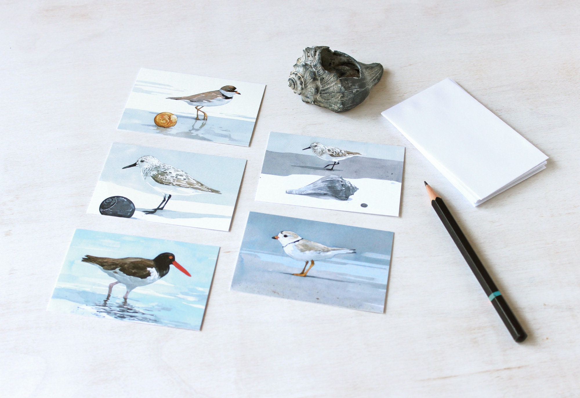Shorebirds Mini Gift Note Cards | Etsy