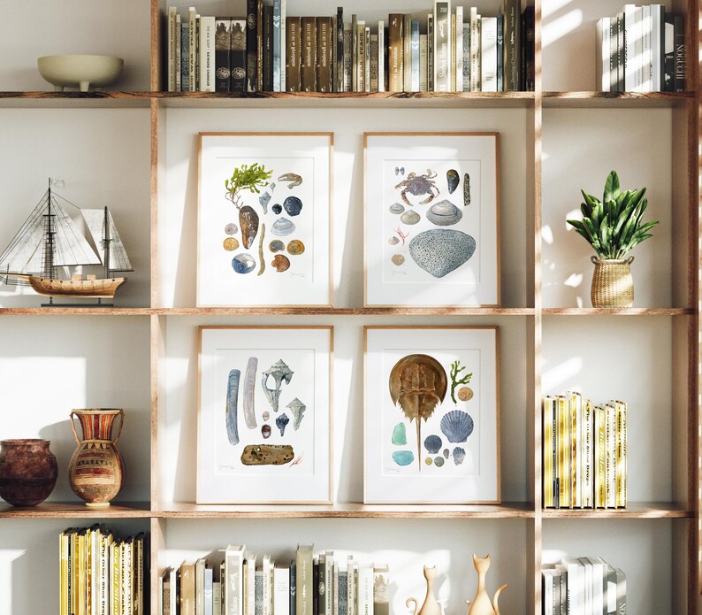 Beachcombing Shells Watercolor Print Set Seashore Beach House Wall ...