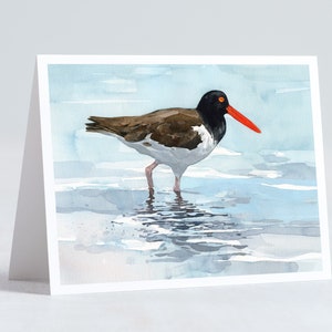 Shorebird Beach Card Set Mixed Bird Art Stationery Gift Set - Etsy