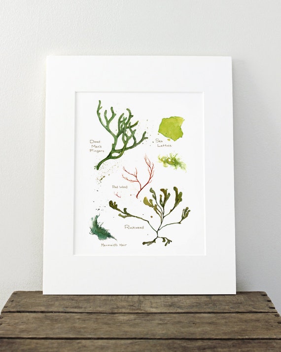 Seaweed Botanical Watercolor Art Print Beach Decor - Etsy