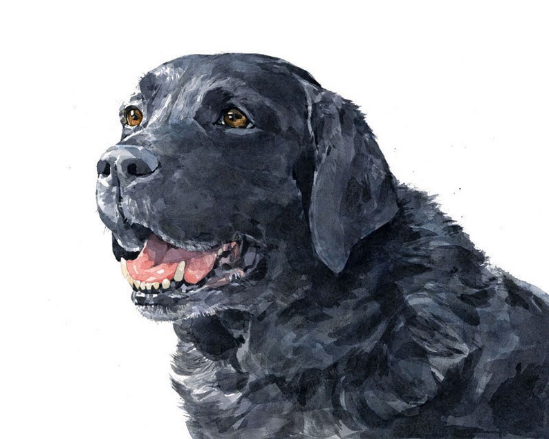 Black Lab Dog Art Print Labrador Retriever Watercolor Painting 8x10 ...