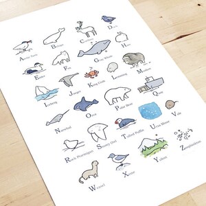 Illustrated Alphabet Arctic North Canada Alaska Nursery Art Print ABC ...
