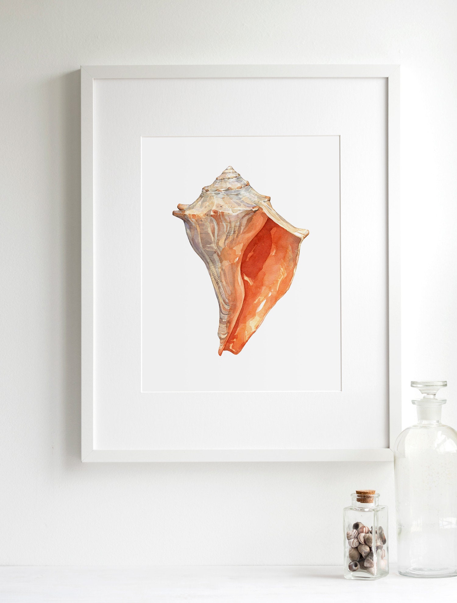 Orange Whelk Shell Watercolor Art Print Seashell Beach Decor Seashore ...