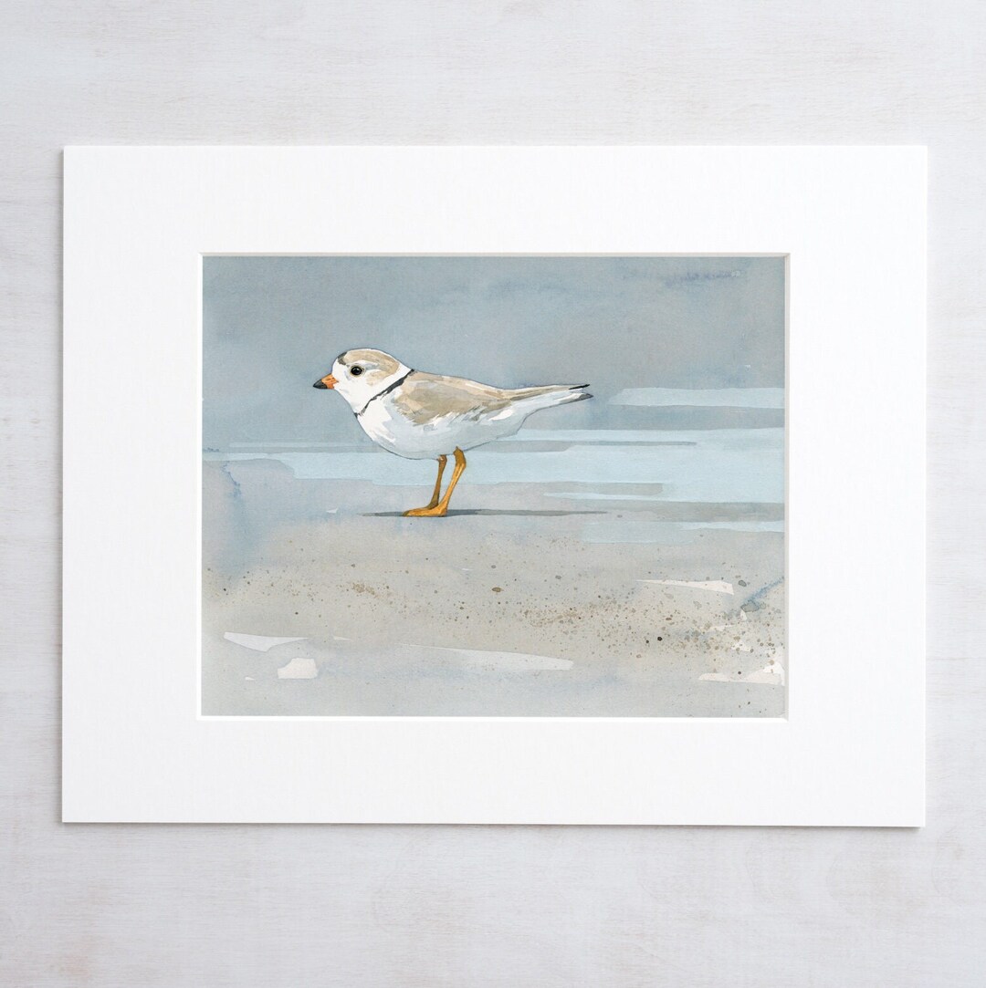 Piping Plover Beach Art Print Coastal Decor Seashore Wall Art - Etsy